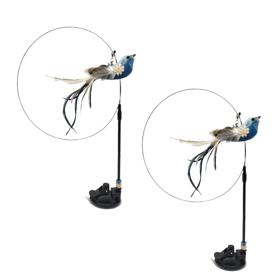 Interactive Bird Simulation Cat Toy Set - Purrfectiion